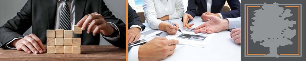 Sagesse Pôle Courtage En Crédit Sagesse Assurances